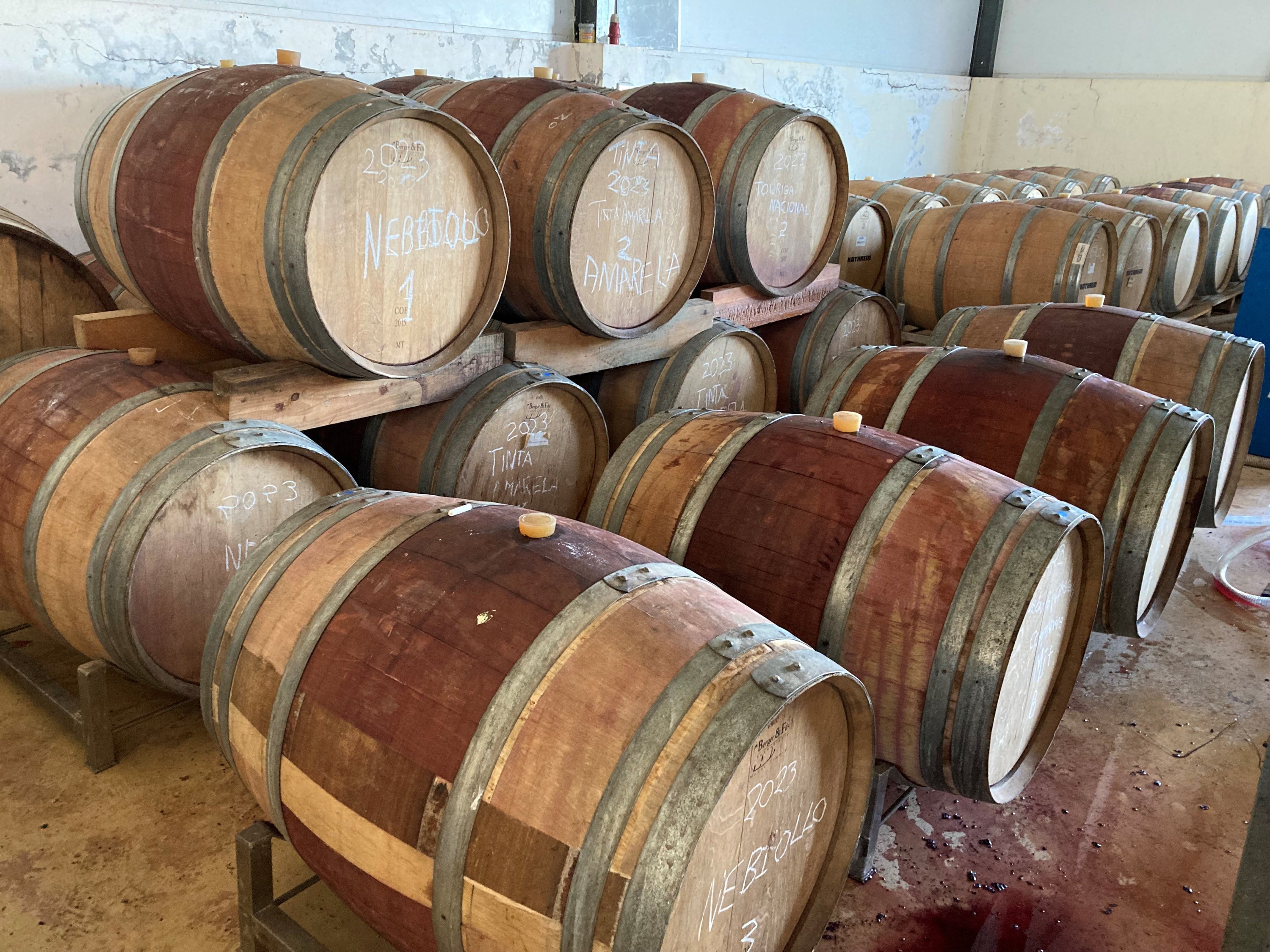 Boutique Barrels South African Wine